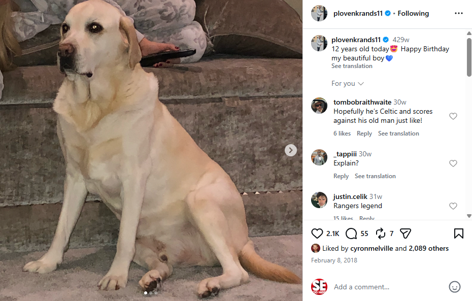 Kendisreklamer, tatovering og merchandise: Peter Løvenkrands’ hund gik ...